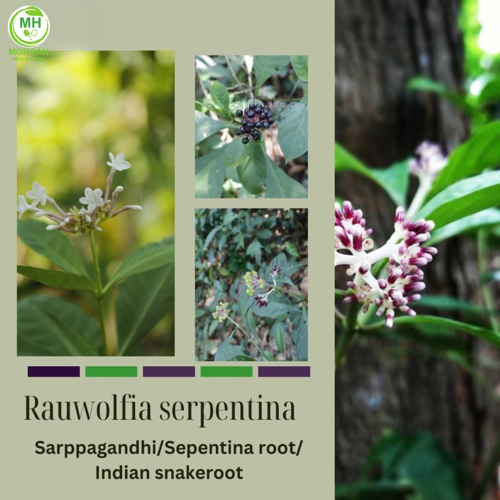 Holistic health with Sarpgandha extract