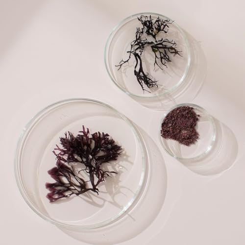 holistic health with sea moss extract
