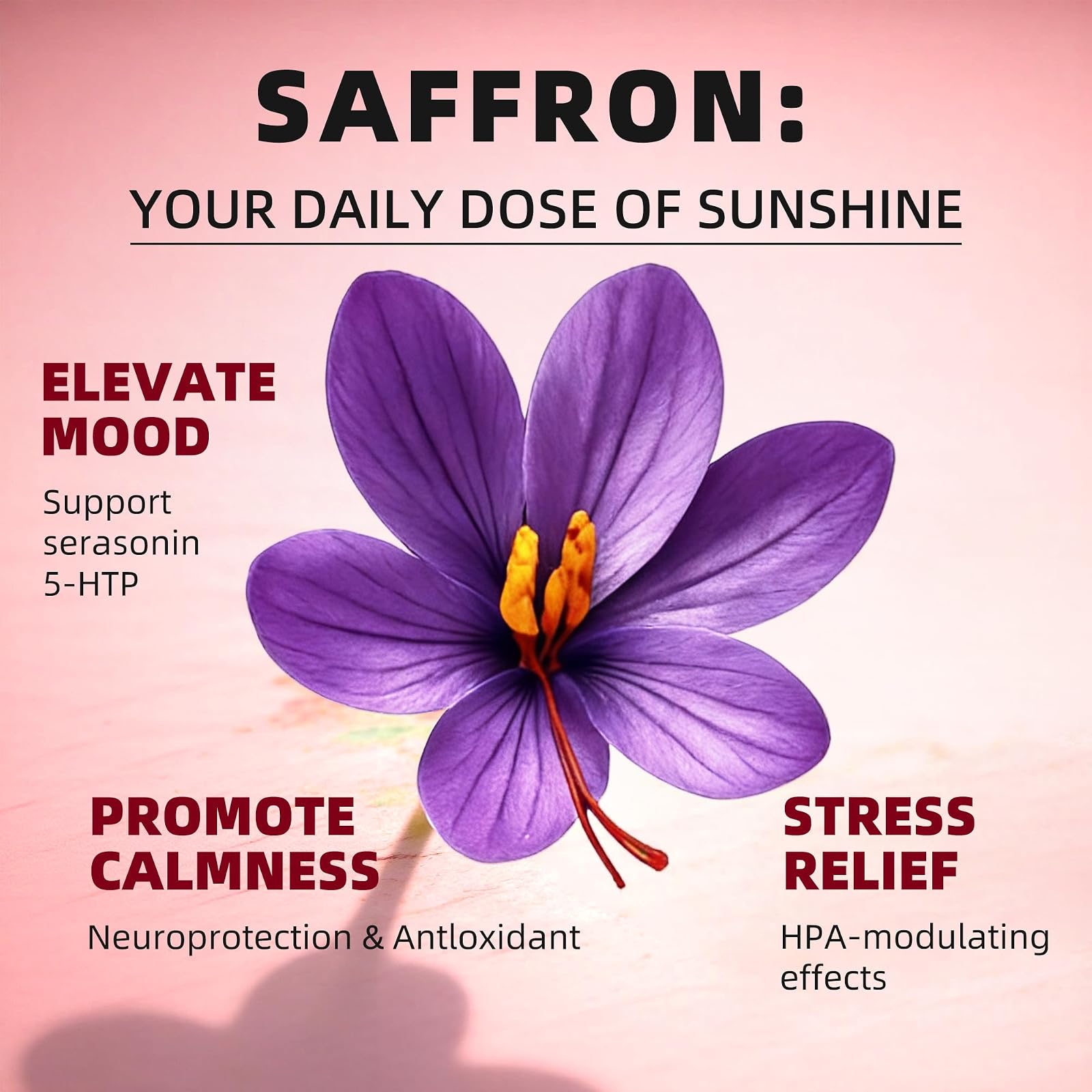 holistic herbal remedy for vitality