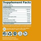 holistic joint support with turmeric