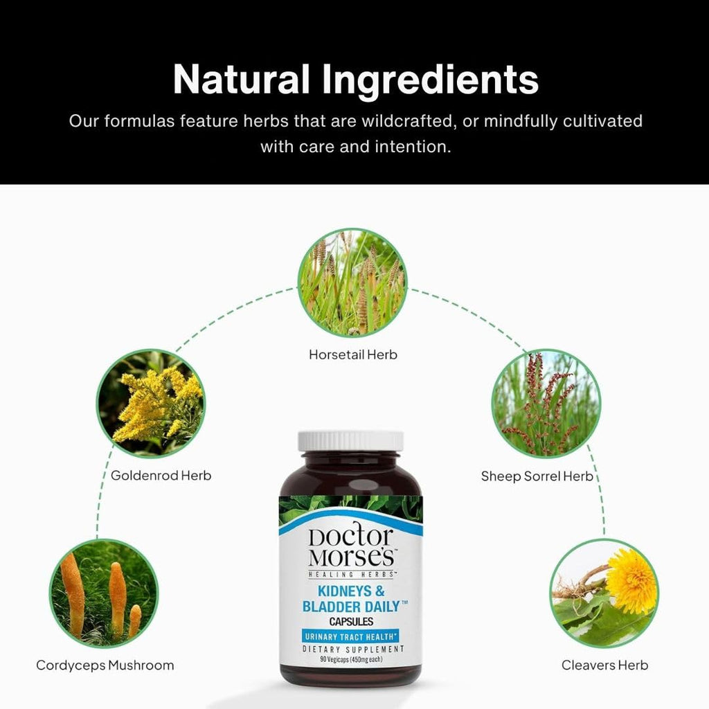 holistic kidney and bladder health