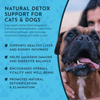 holistic liver support for animals