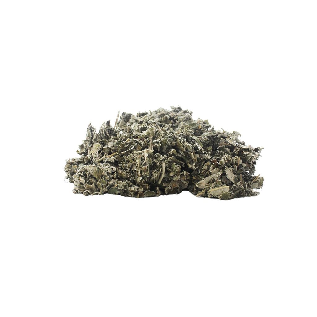 Holistic Market Co. raspberry leaf tea benefits