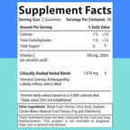 Holistic MD 3-in-1 gummy formula