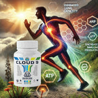 Holistic mushroom blend for vitality