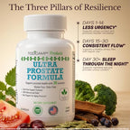 holistic prostate care supplement