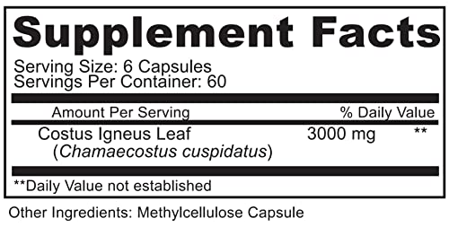 holistic support for blood sugar management