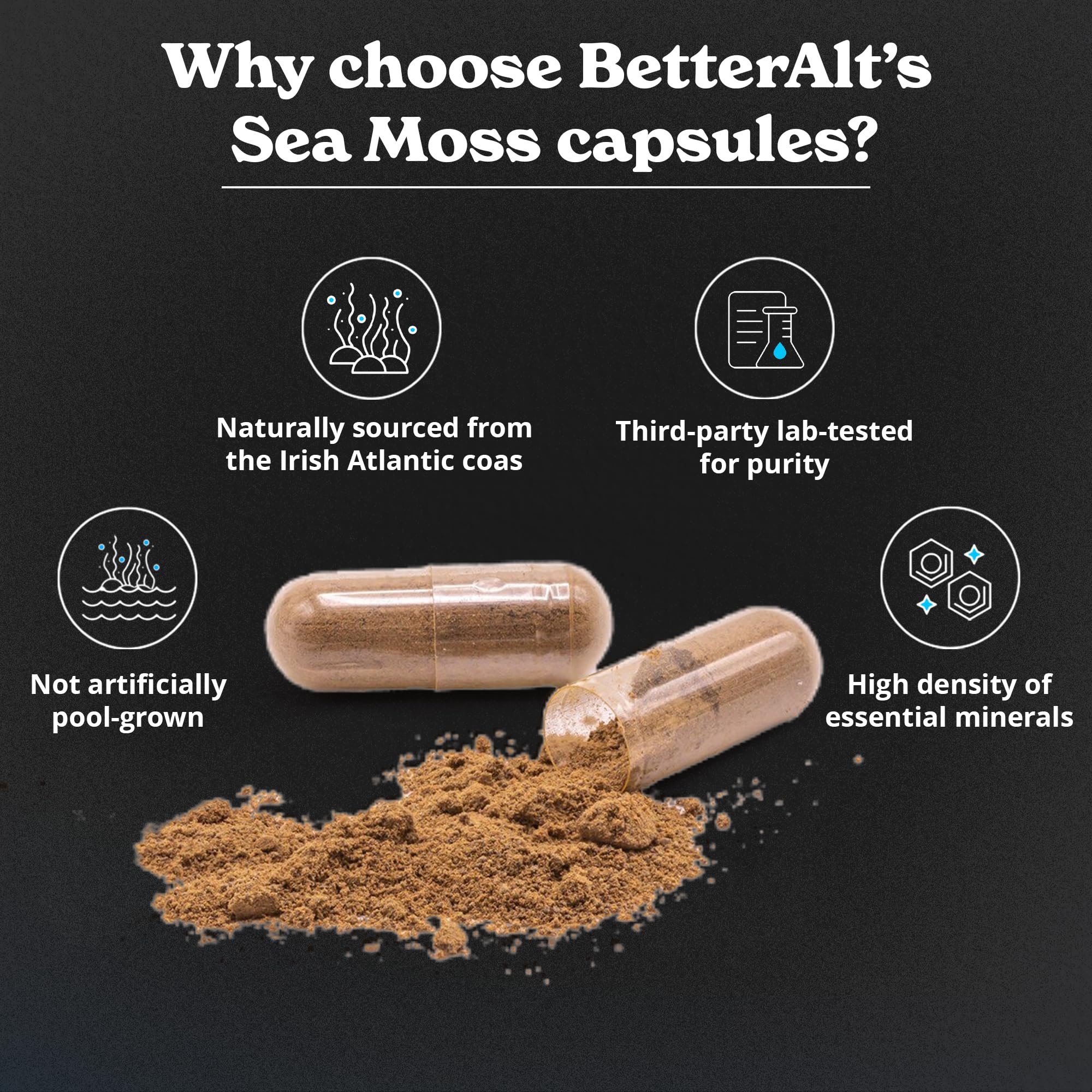 Holistic vitality supplement capsules