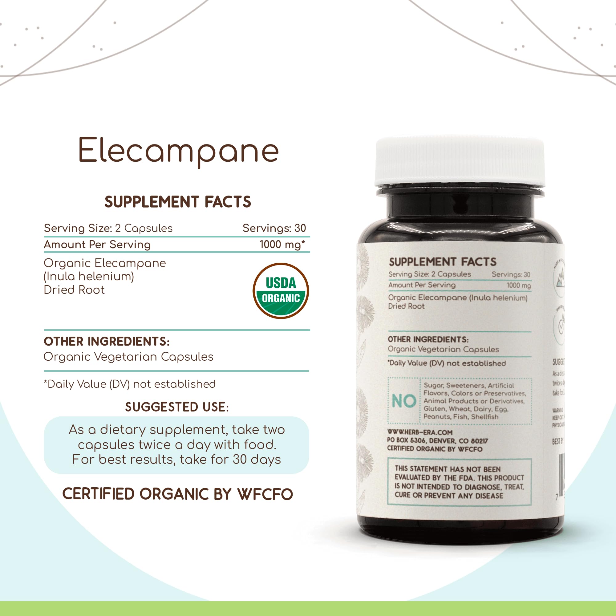 holistic wellness with echinacea