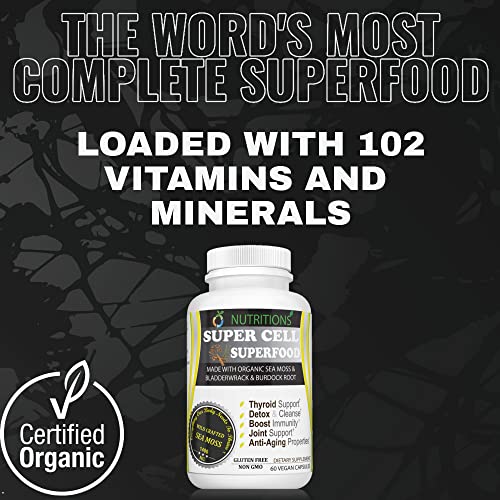 holistic wellness with GLP-1