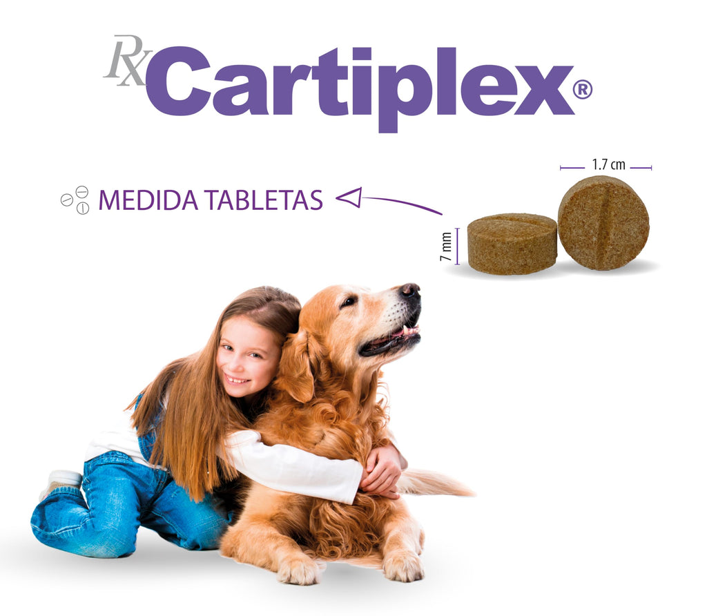 Holland RX Cartiplex vitamins for better absorption