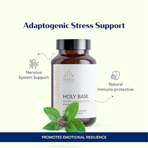 holy basil capsules for daily health