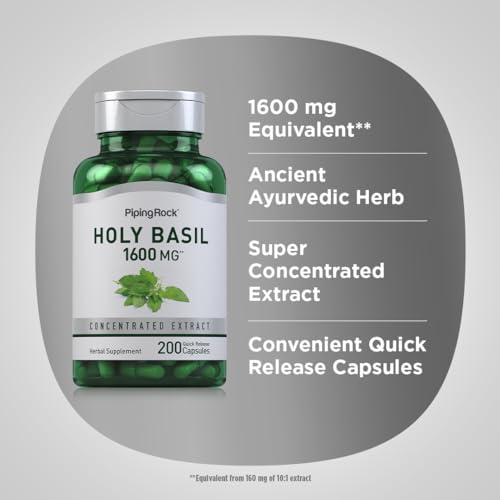 holy basil capsules for daily use