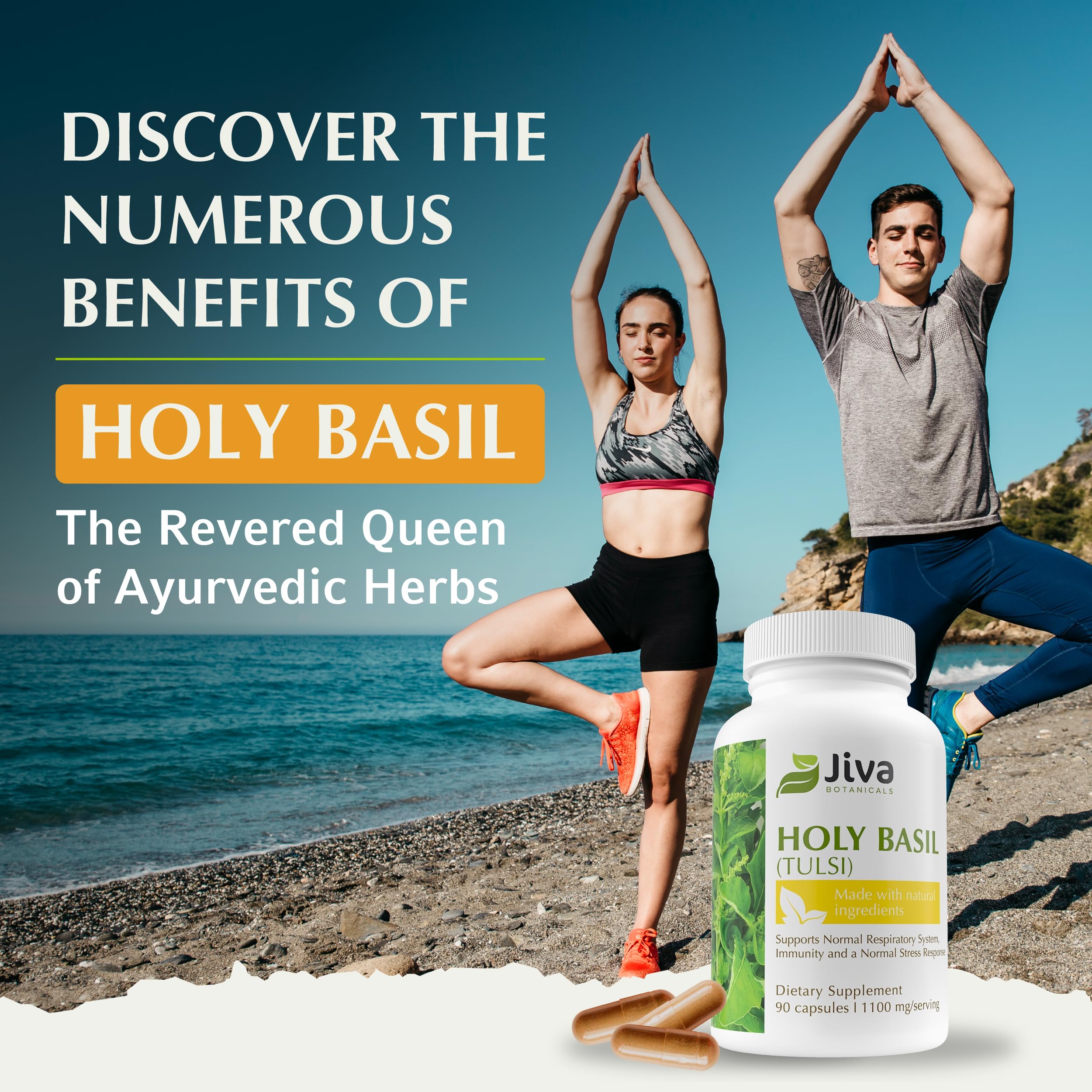 holy basil capsules for everyday wellness