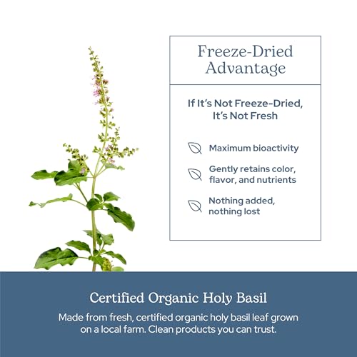 holy basil capsules for holistic health