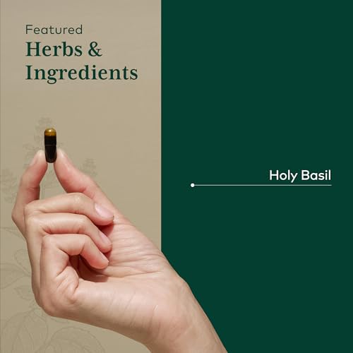 holy basil extract for daily vitality