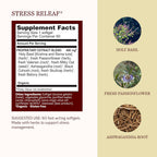 Holy Basil for anxiety support