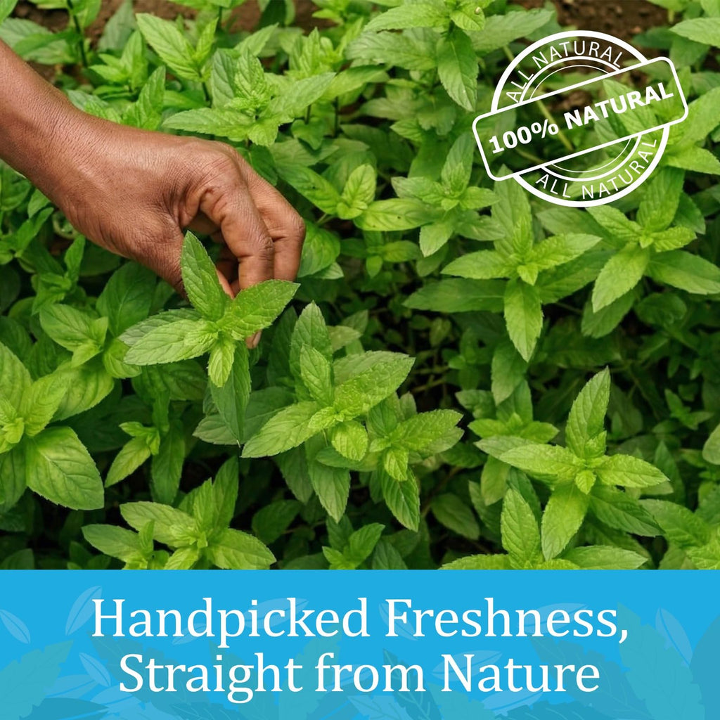 Holy Basil for enhancing digestion