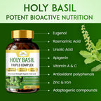 Holy Basil for immune support