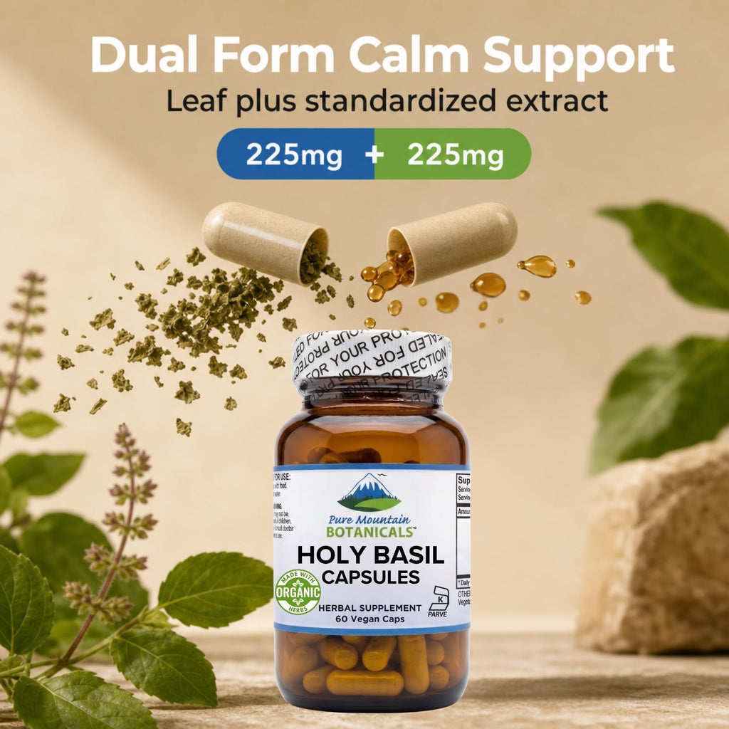holy basil for immune support