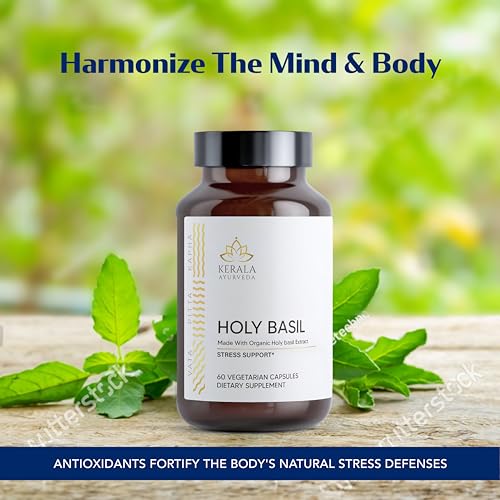 holy basil for immune support