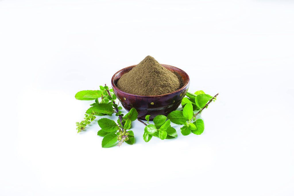 Holy basil for immune support
