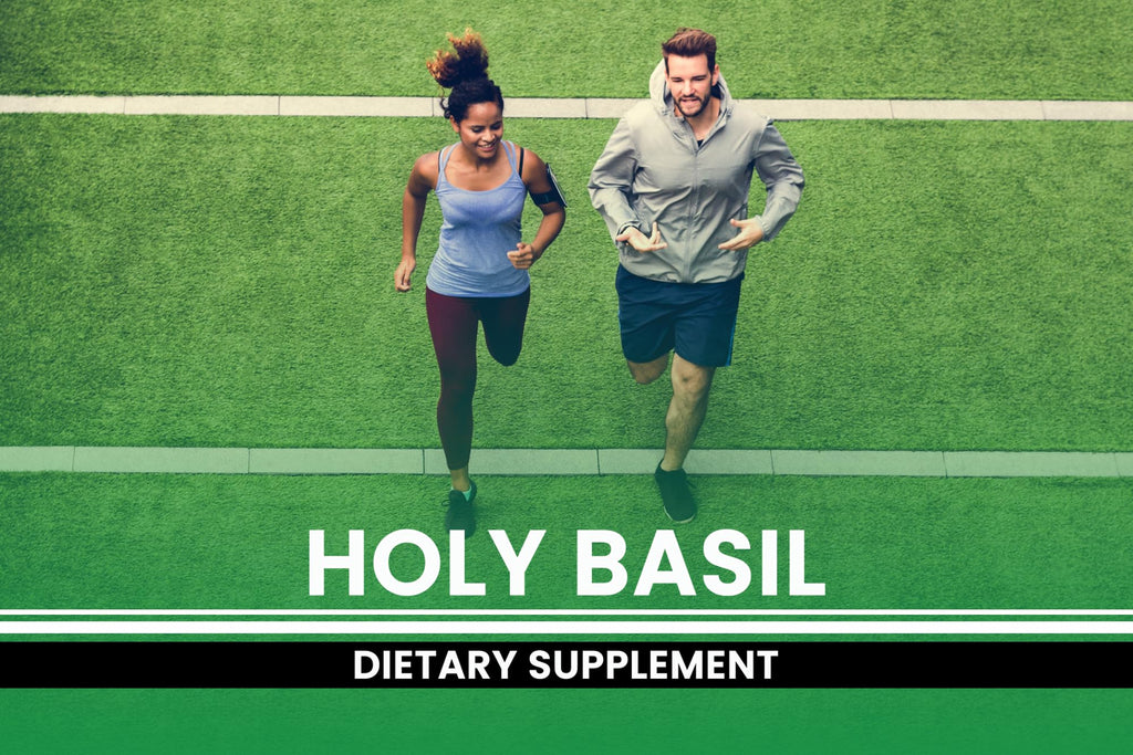 holy basil for improved sleep quality