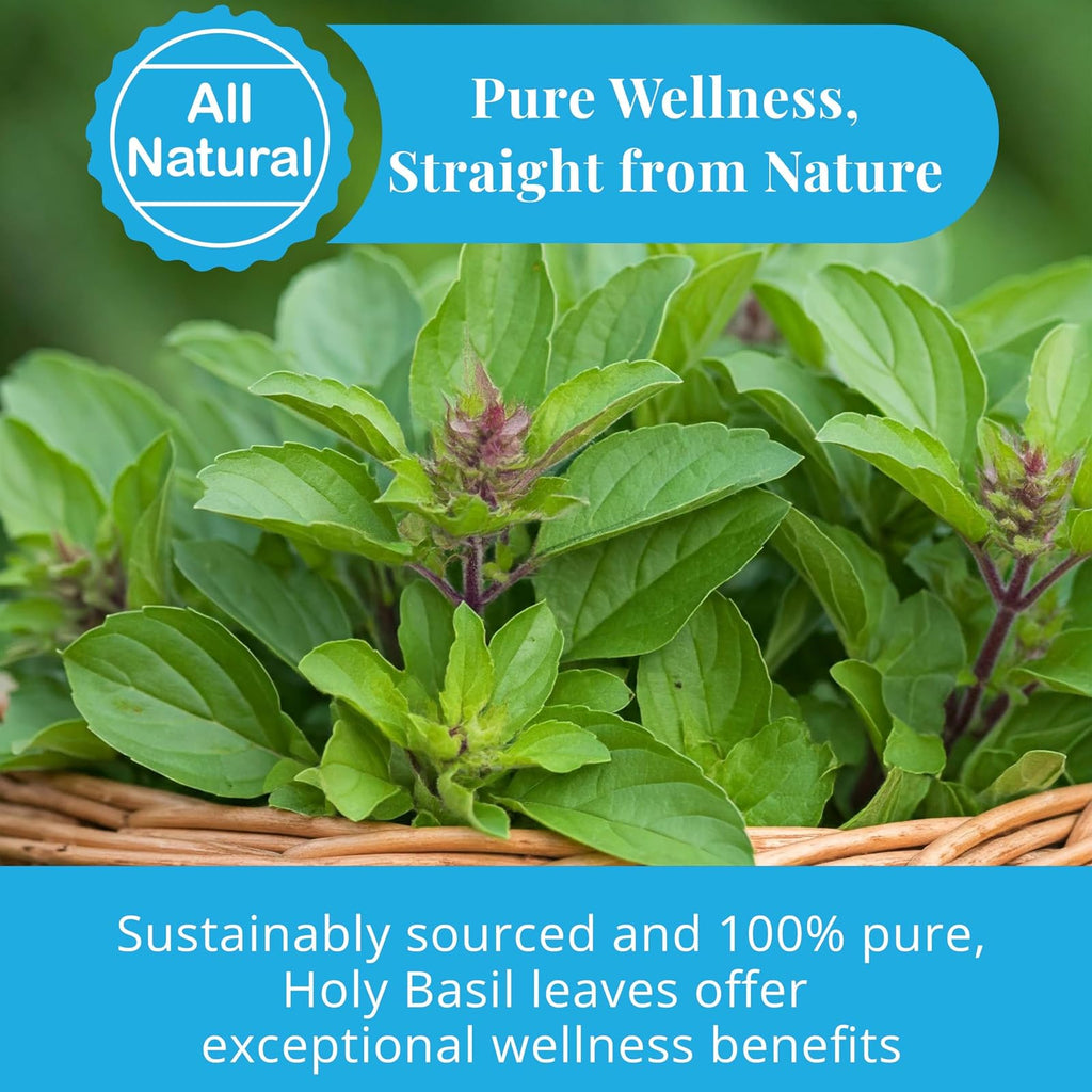 Holy Basil for natural immune support