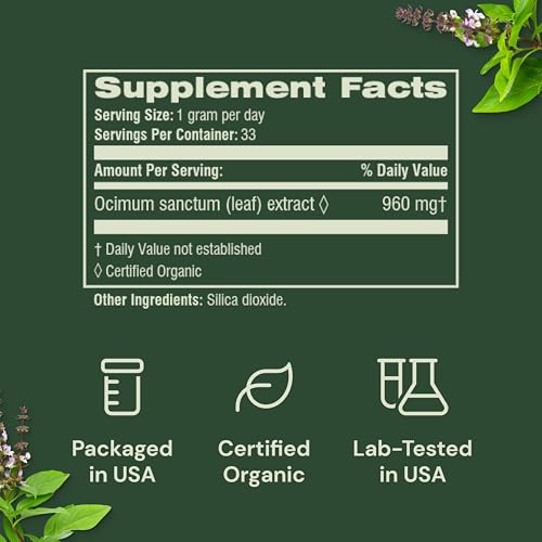 holy basil for overall health support