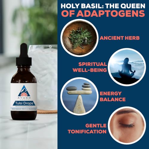 Holy basil glycerite for adults