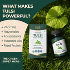 holy basil supplement for daily vitality