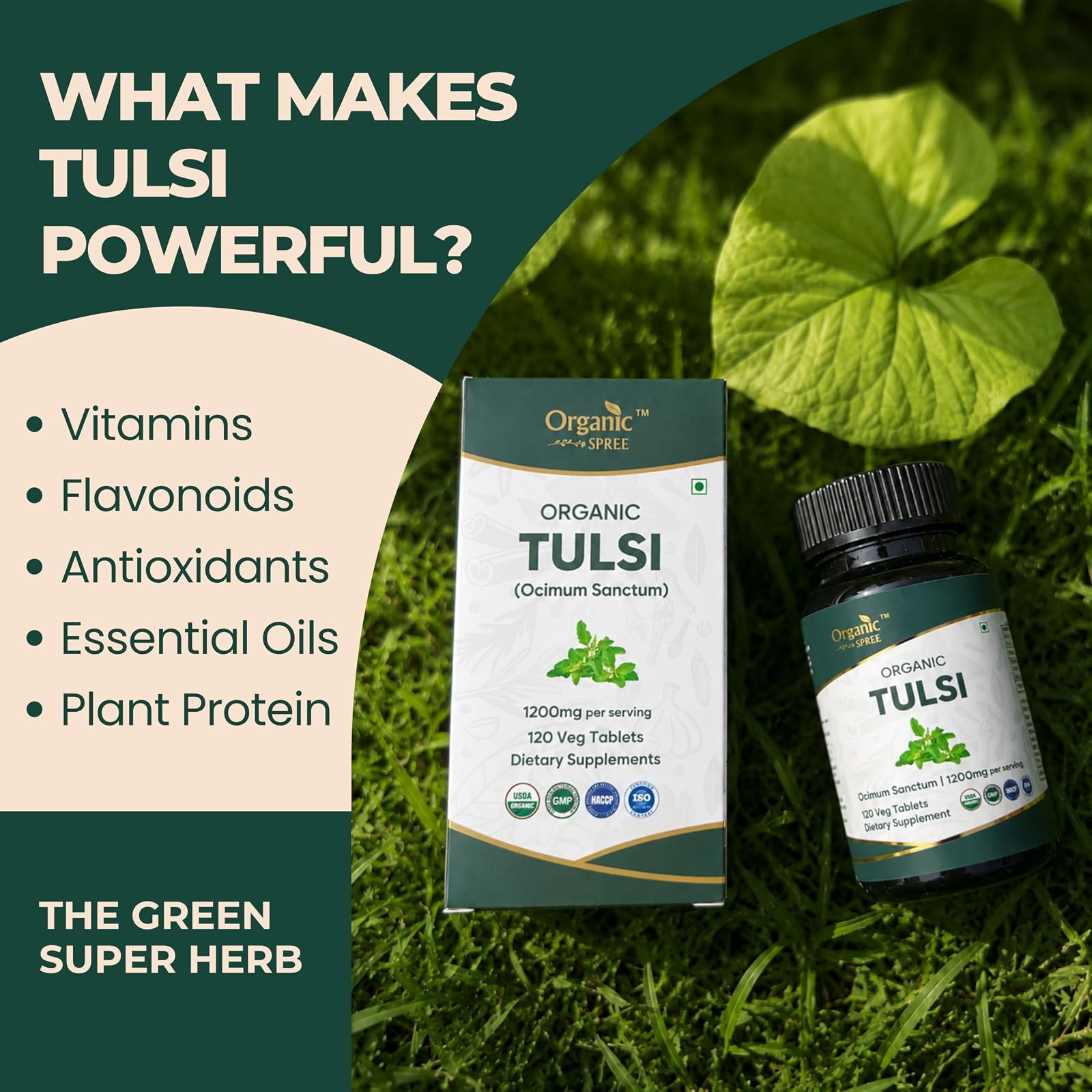 holy basil supplement for daily vitality