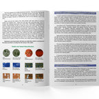 Home detox foot spa system