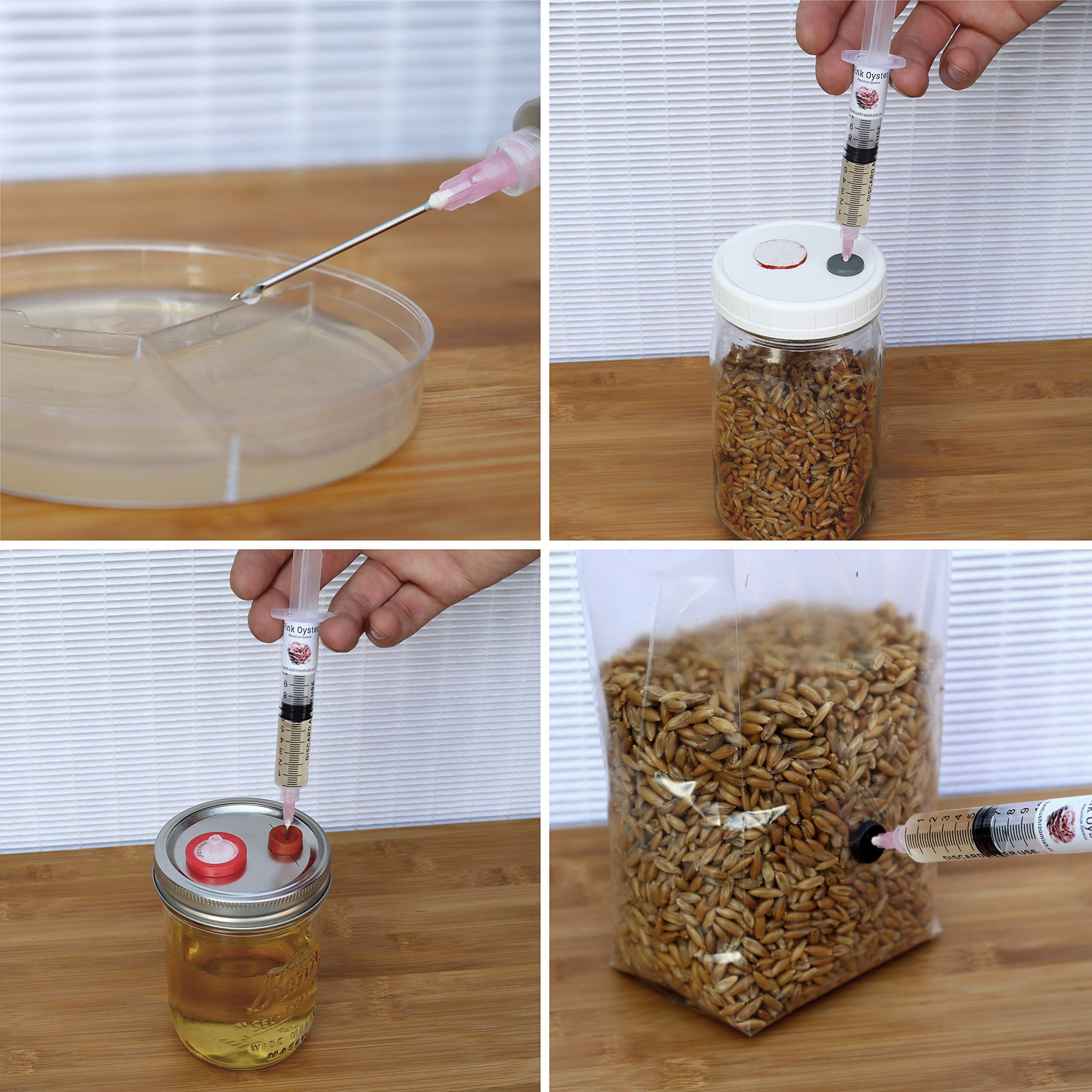 Home mushroom farming supplies