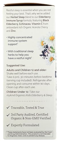 homemade elderberry syrup recipe ideas