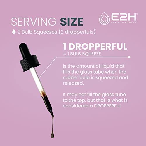 homemade elderberry syrup recipe ideas