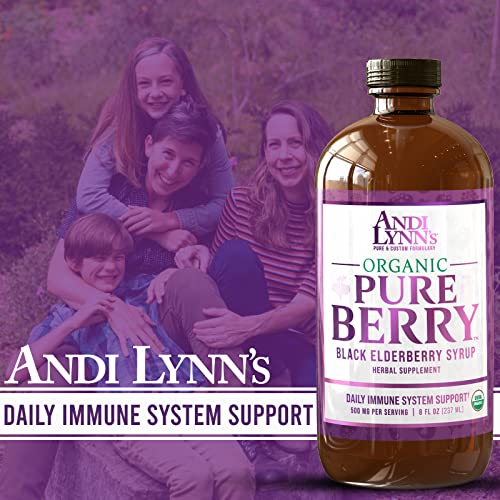 homemade elderberry syrup recipe ideas