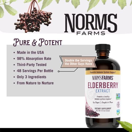 homemade elderberry syrup recipes