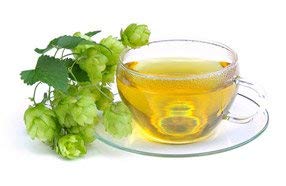 Hops flowers tea for relaxation