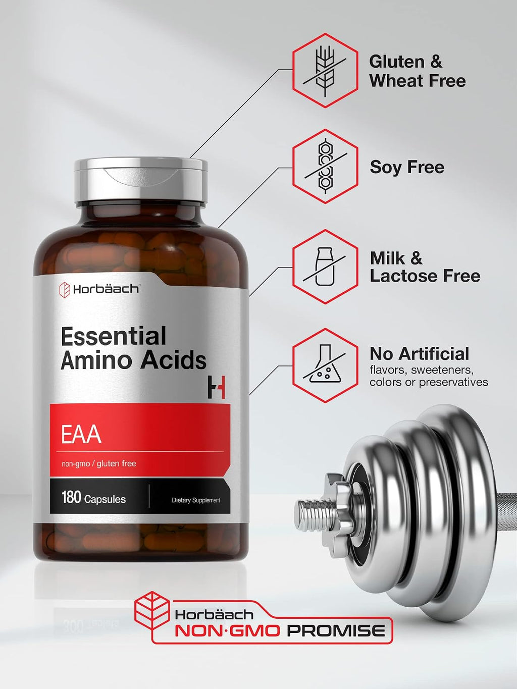 Horbäach amino acids for energy