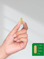Horbäach berberine for digestive health