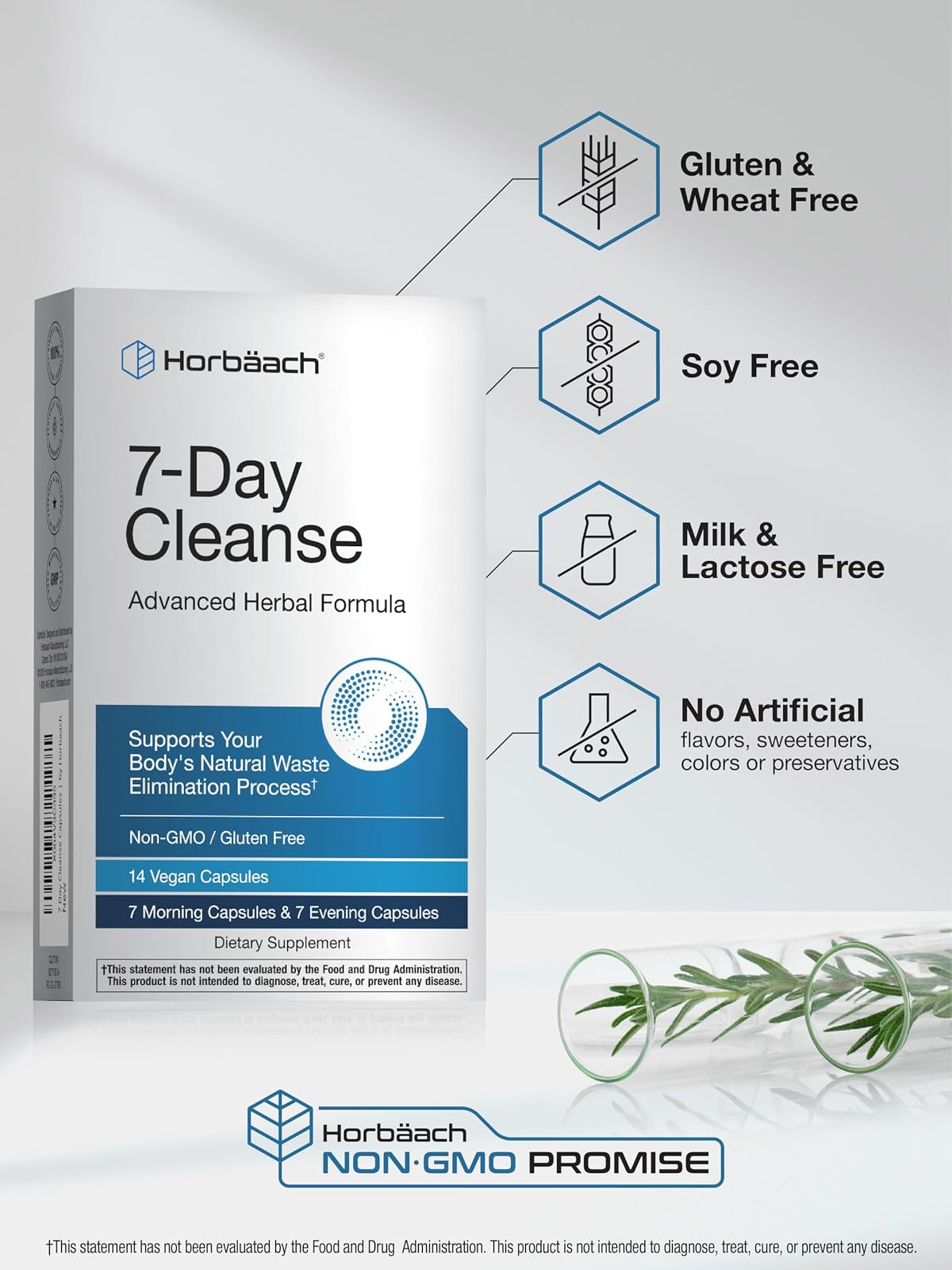 Horbäach detox for energy boost