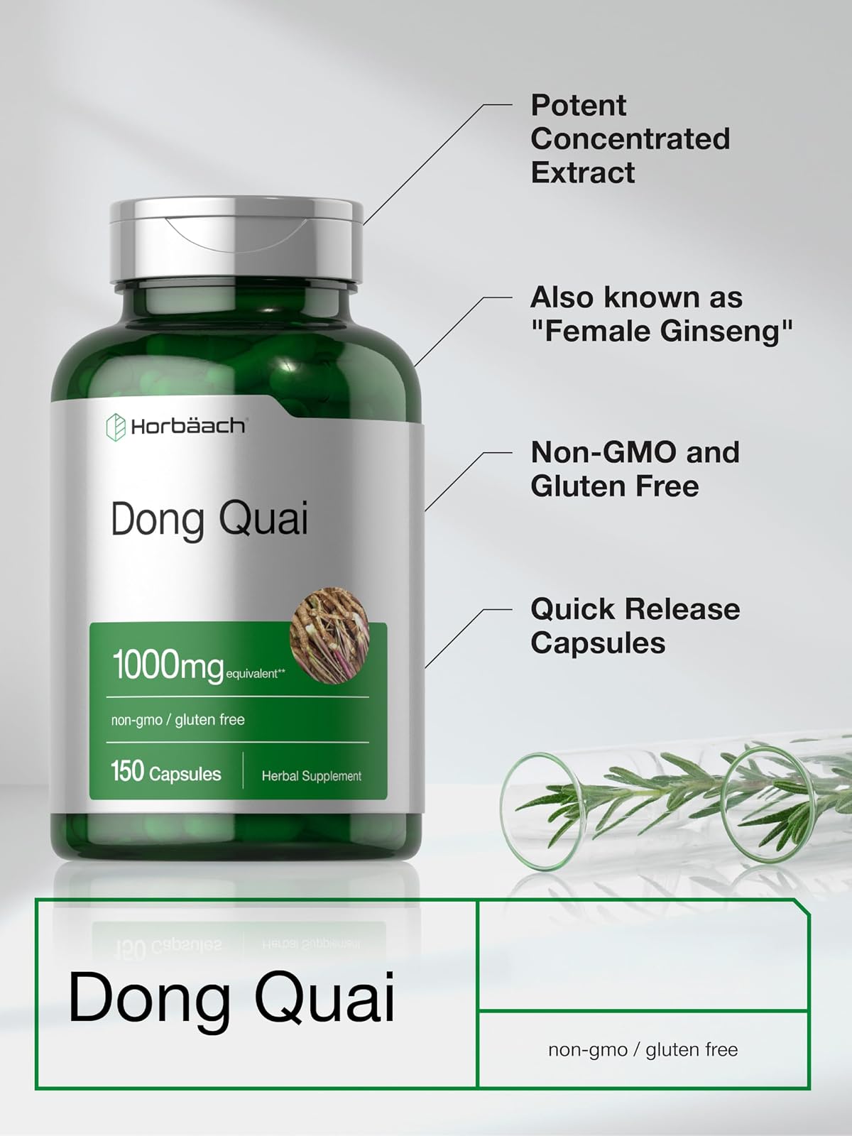 Horbäach dong quai for menstrual support
