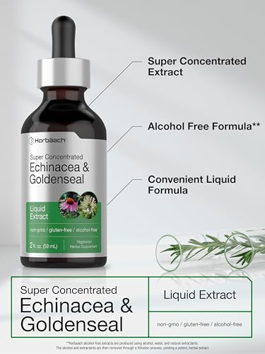 Horbäach echinacea for daily health boost