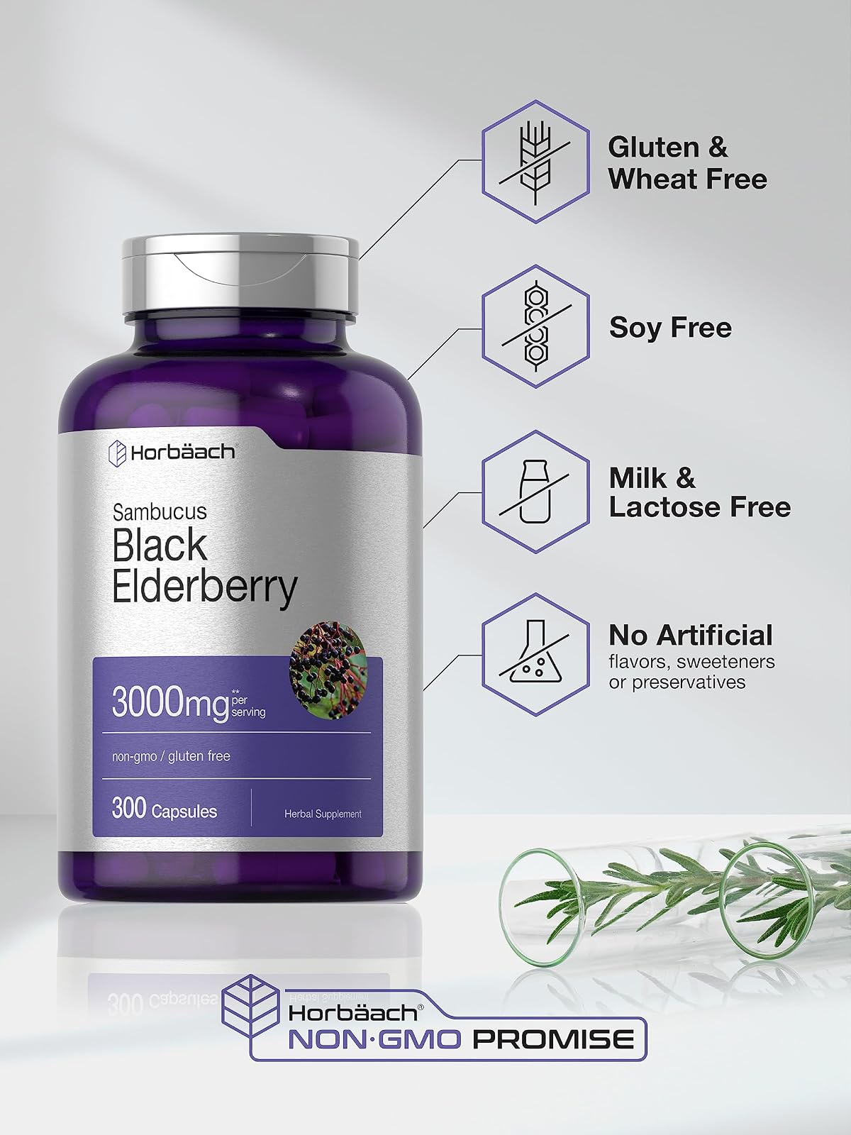 Horbäach elderberry for seasonal support