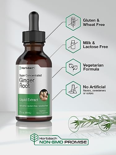 Horbäach ginger tea immune support