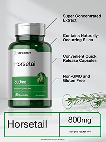 Horbäach horsetail for stronger nails