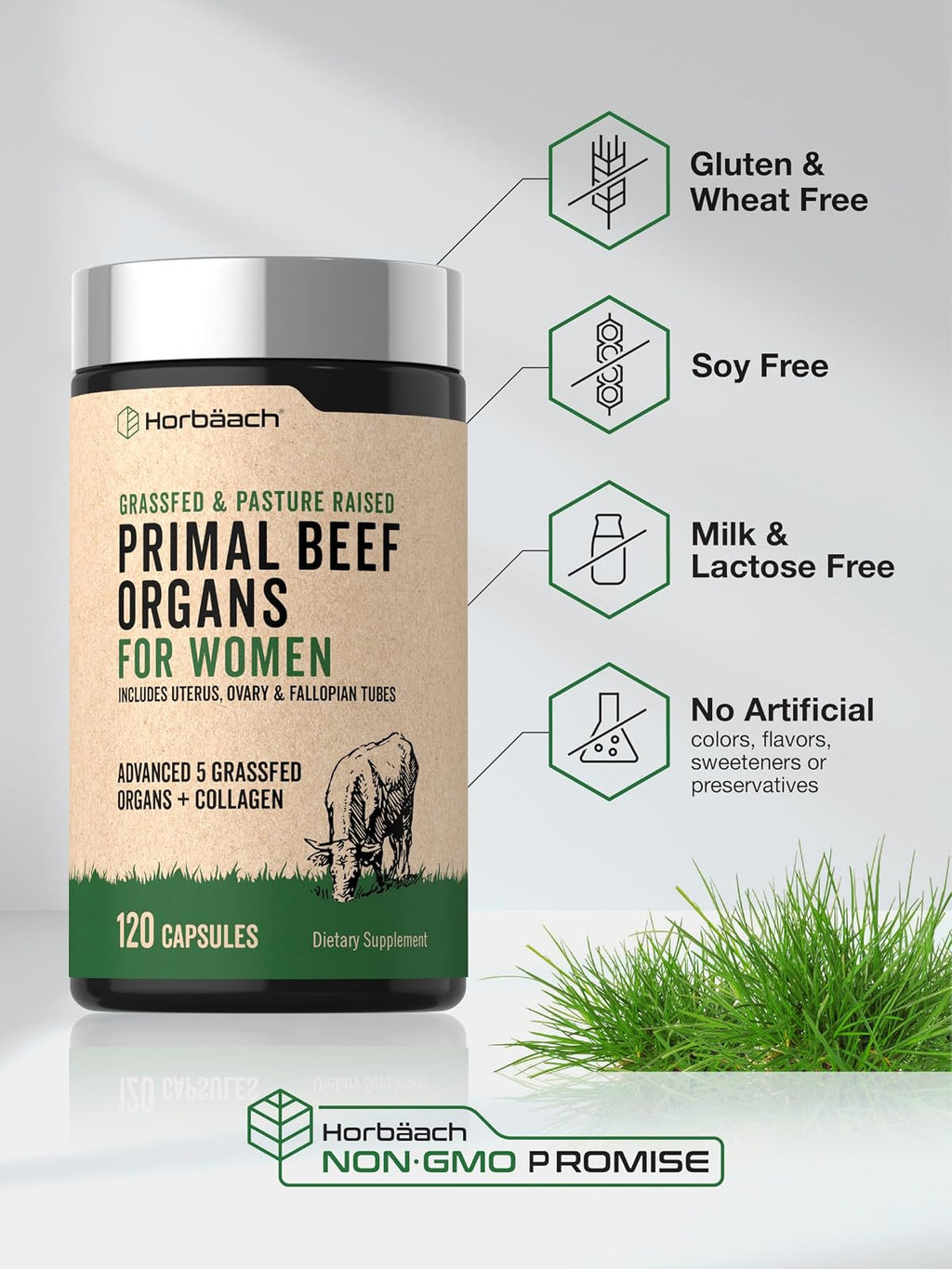 Horbäach liver extract for energy