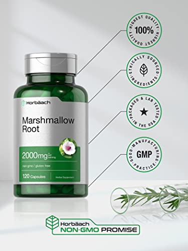 Horbäach marshmallow root immune booster