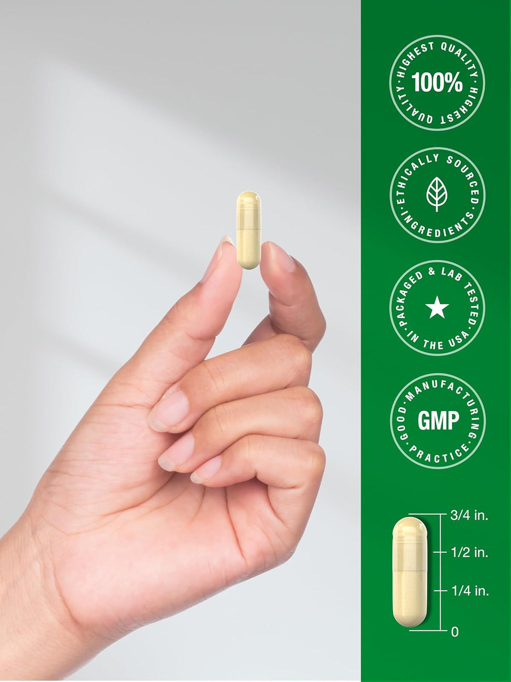 Horbäach mushroom extract for energy